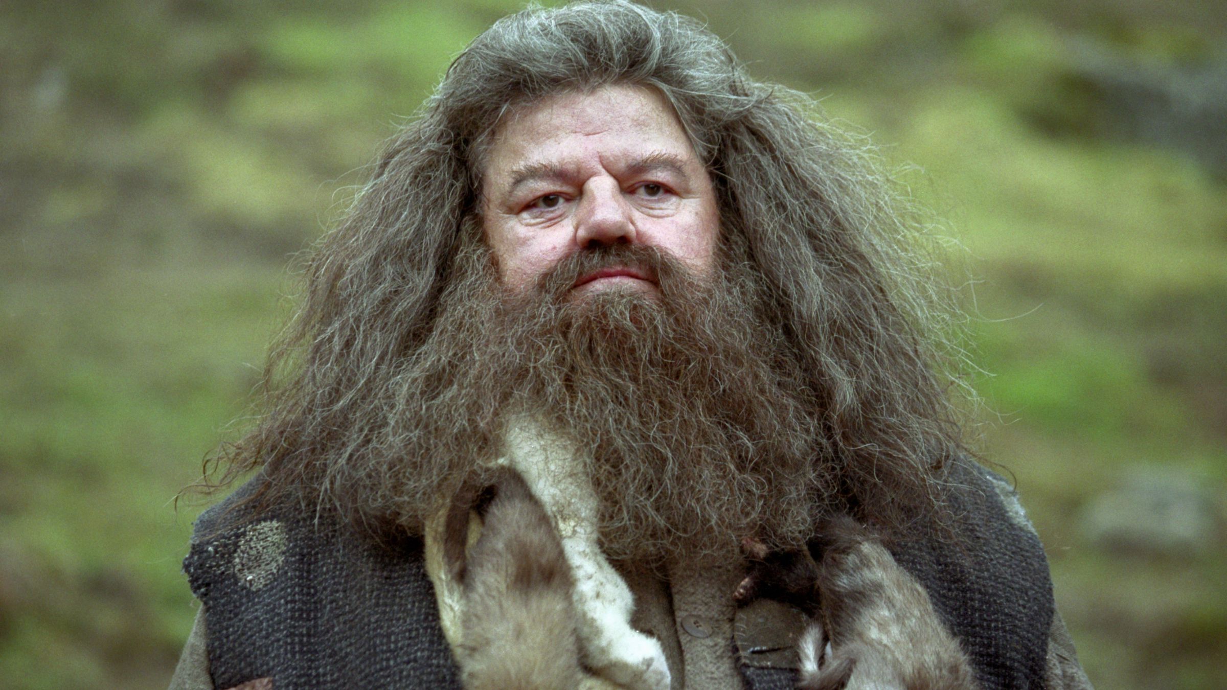 Harry Potter: Every Hogwarts Professor Ranked By How Powerful They Are ...