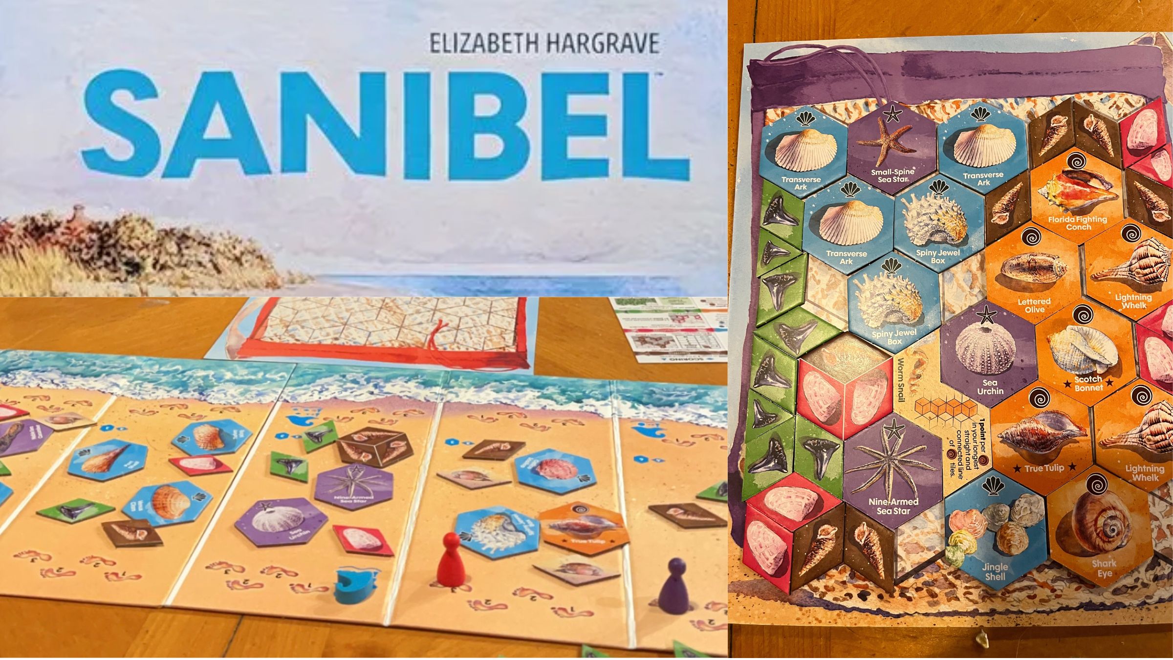 Wingspan Developer Explains Her New Game, Sanibel