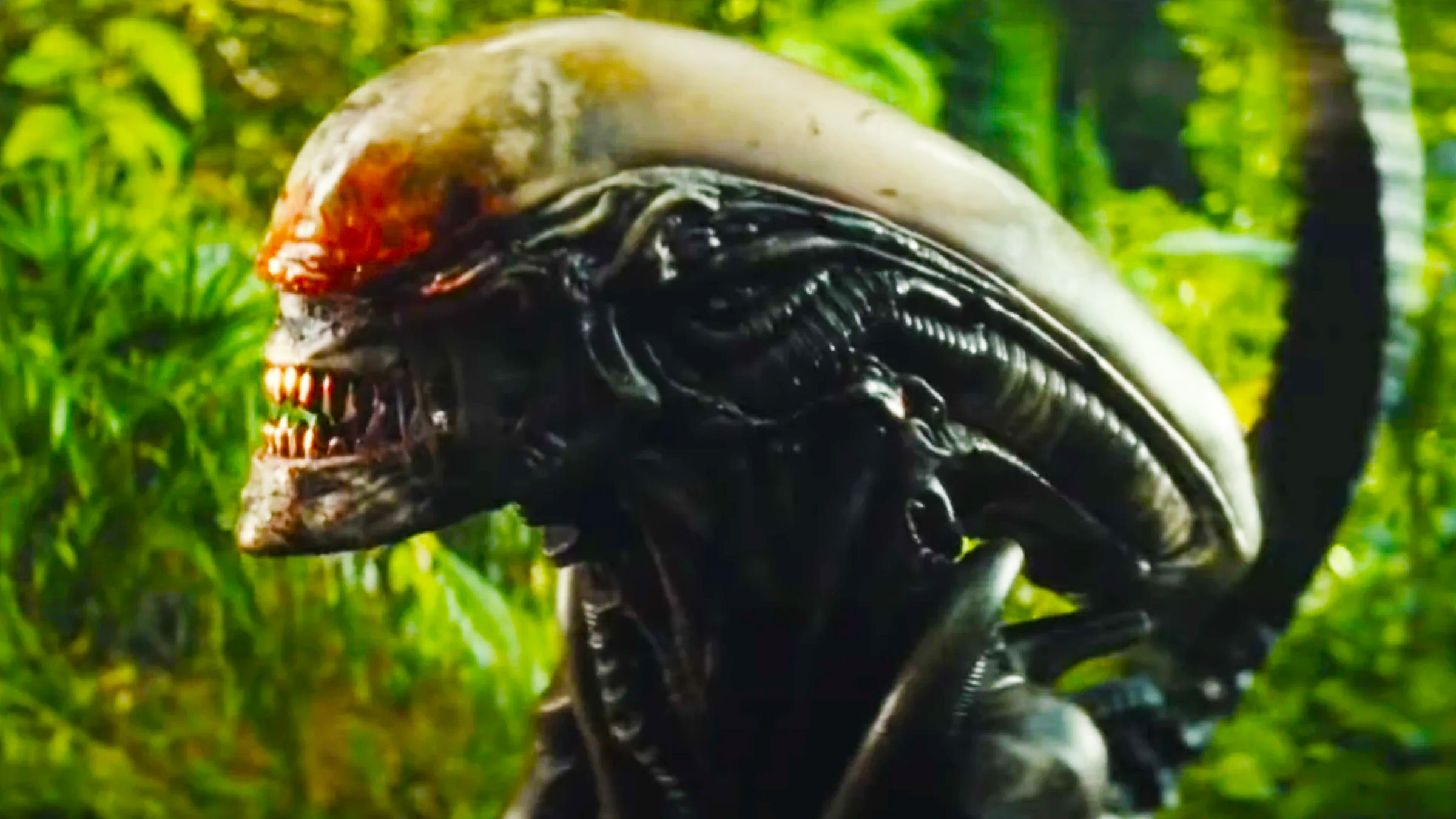 Alien: Earth Season 2 Fate Revealed After Major Season 1 Cliffhanger ...