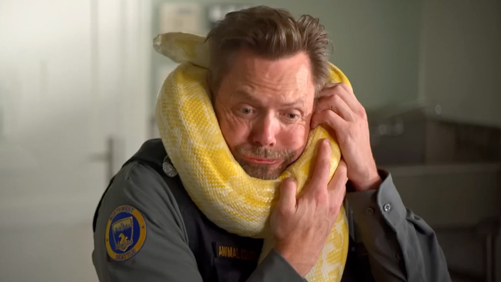 Netflix Just Surprise Added One of the Funniest Shows on TV (And ...