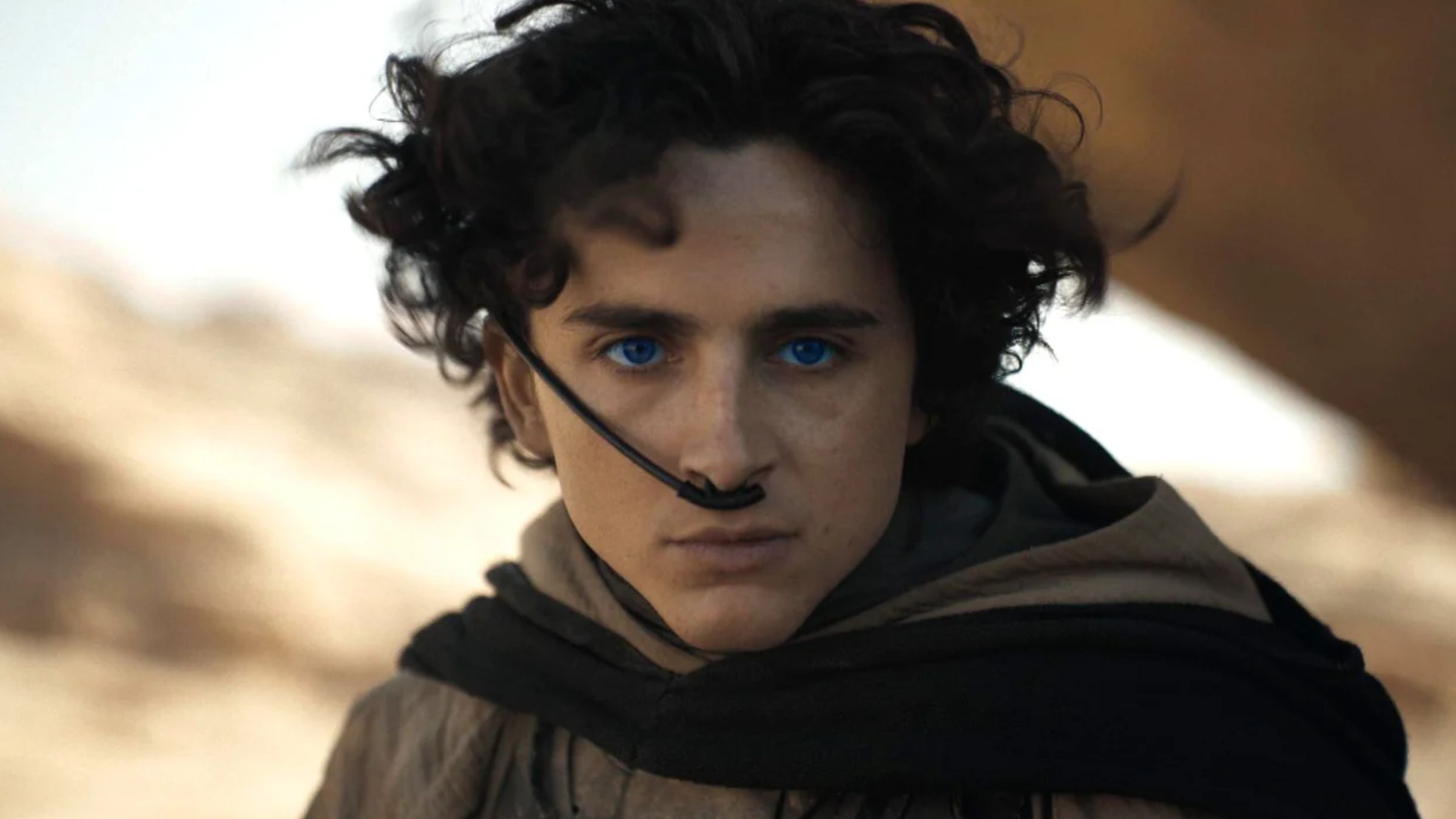 5 Best Timothée Chalamet Movie Performances, Ranked - ComicBook.com