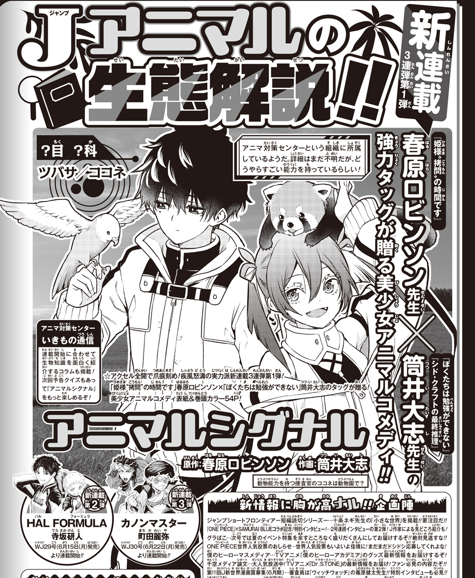 Shonen Jump to Cancel Even More 2026 Series This Summer With New Debuts ...